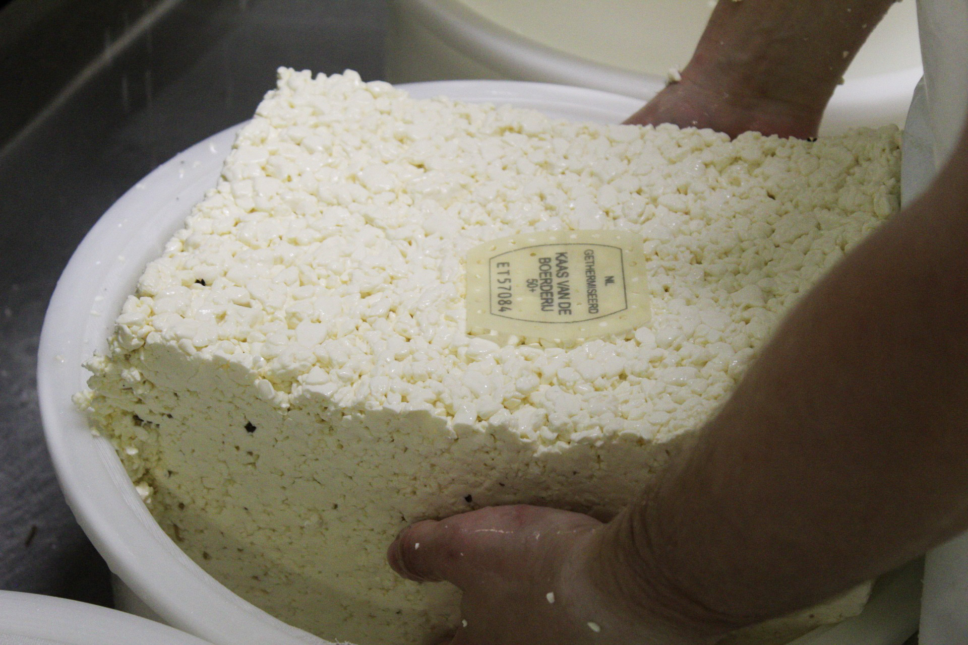 From truffle to cheese - Tartufo